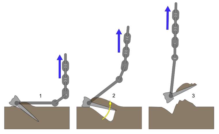 Dropping and Lifting Anchor Procedures on Ships – Maritime Education