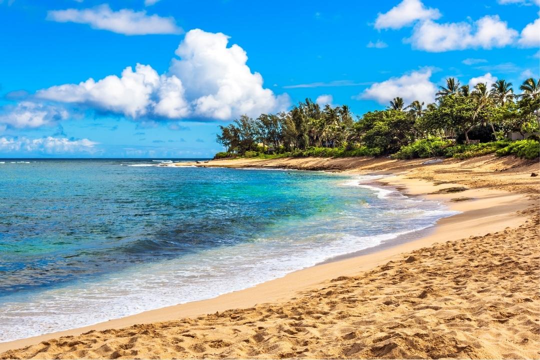 Beaches: Coastal Wonders and Their Role in Marine Life, Education, and ...