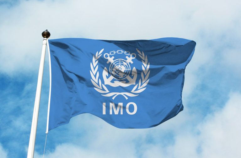 International Maritime Organization (IMO): Role, Functions, and ...