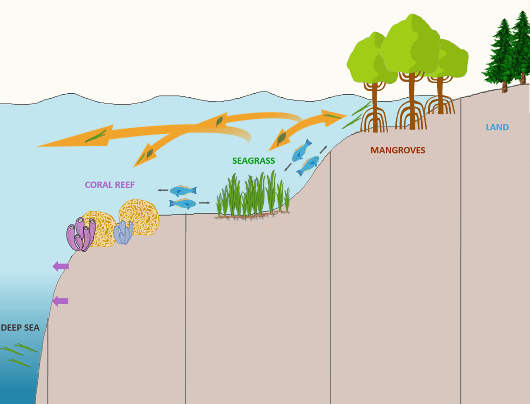 An Introduction to Marine Environment for Seafarers – Maritime Education