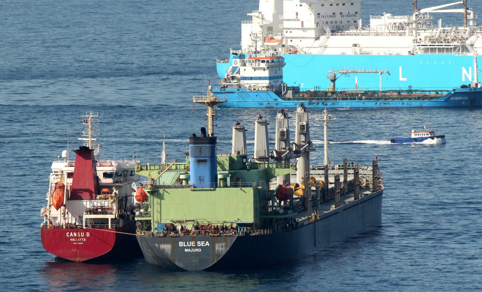 Bunker Oil Spills: Environmental Impact and Prevention Strategies ...