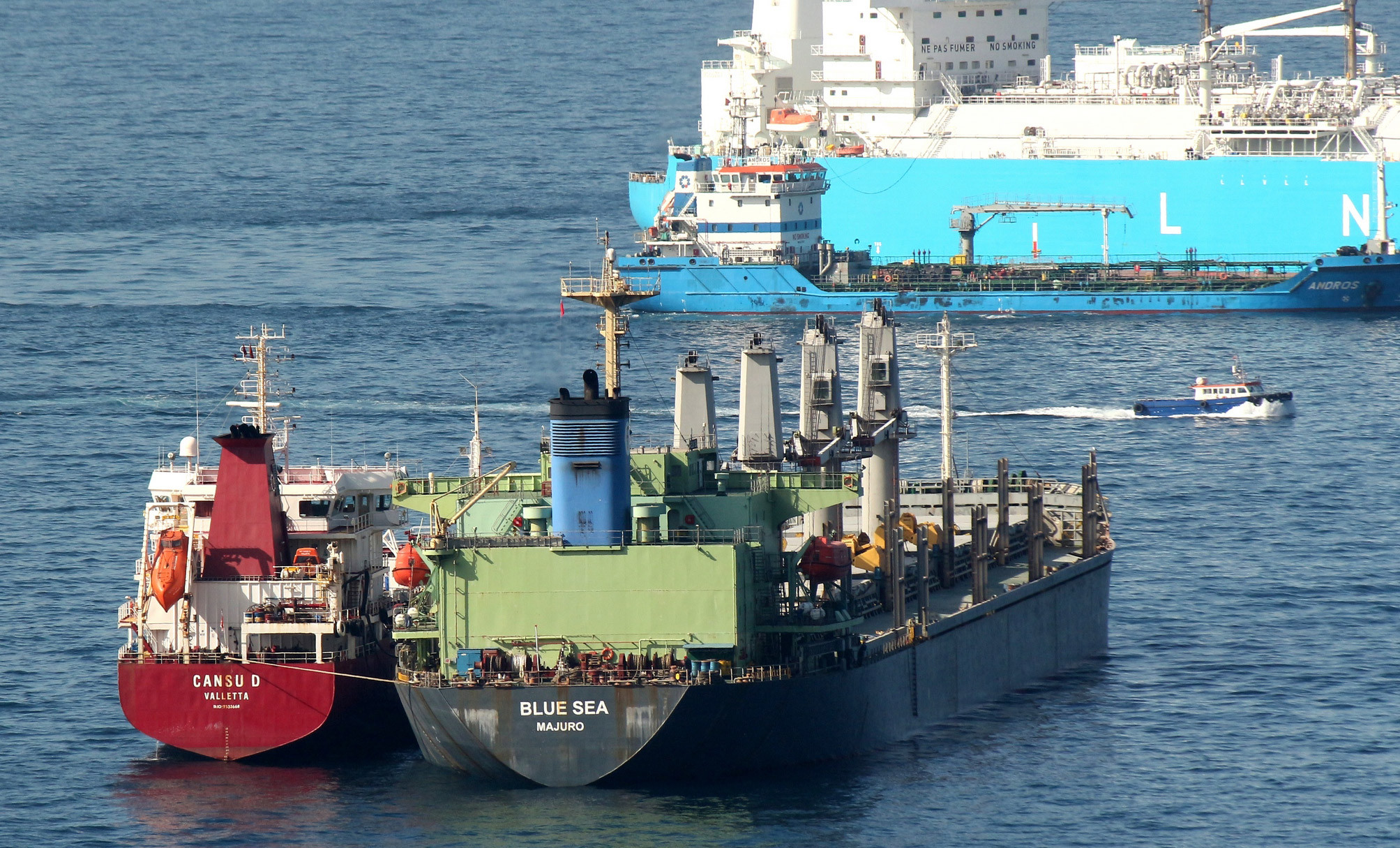 Bunker Oil Spills: Environmental Impact and Prevention Strategies ...