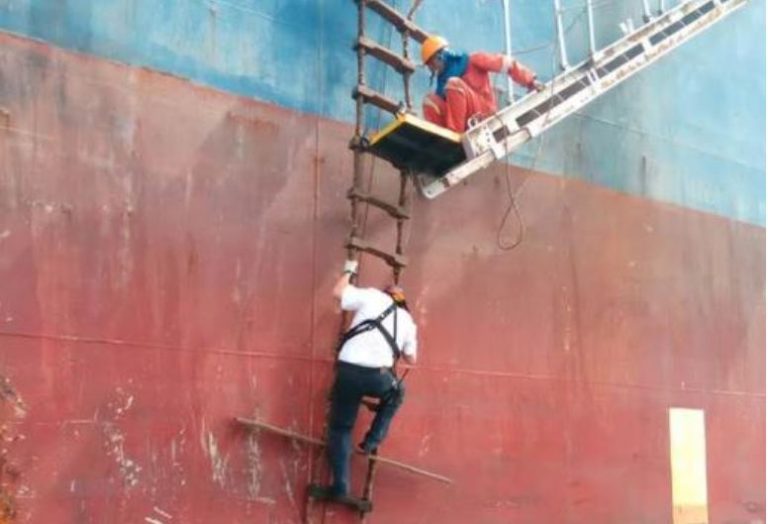 Pilots on Board Ships: A Critical Role in Maritime Navigation ...