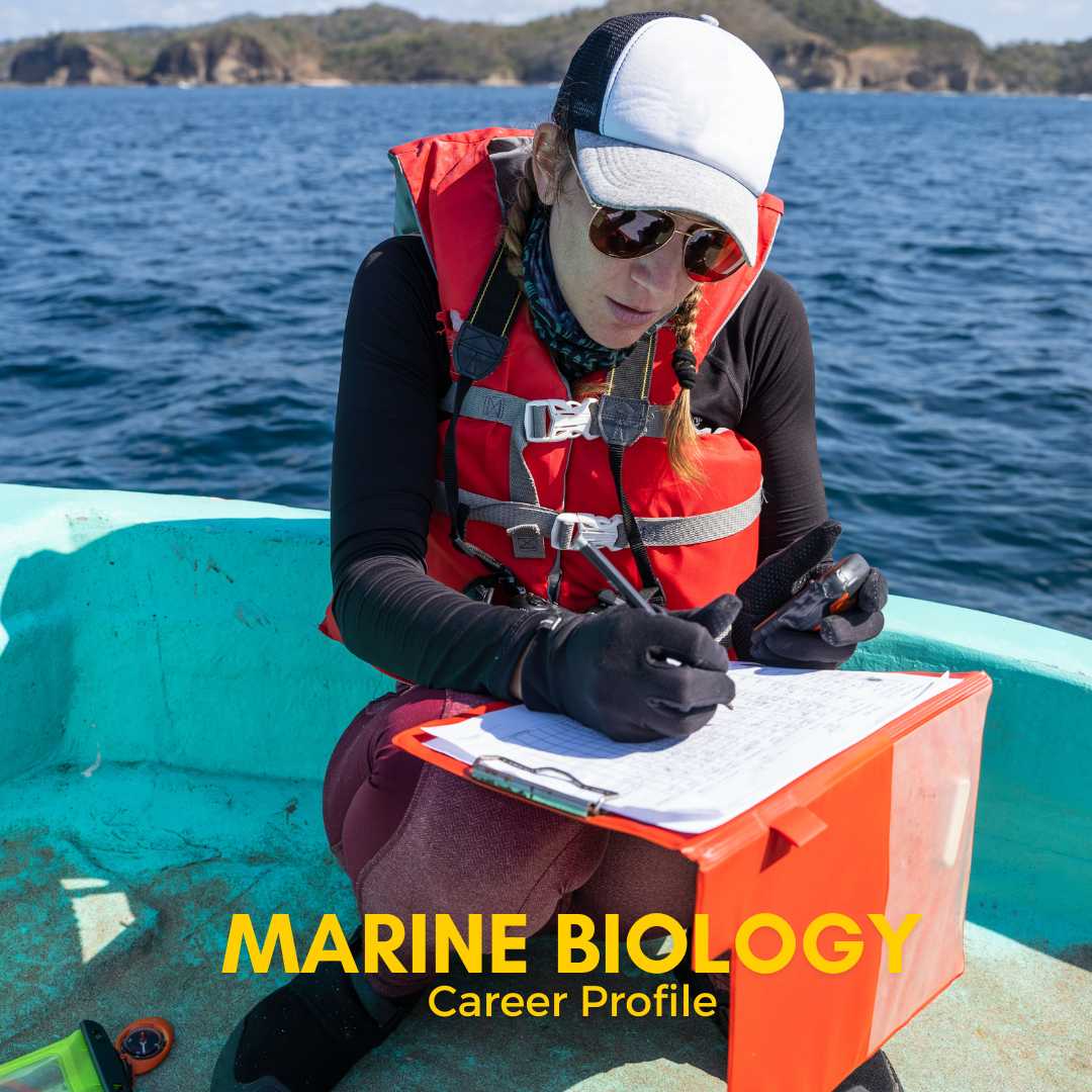 Exploring Marine and Maritime Careers: Opportunities Across the Seven ...