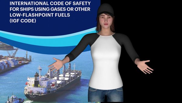 Bunkering Dual Fuel Ships: Procedures, Safety, and Regulatory Insights ...