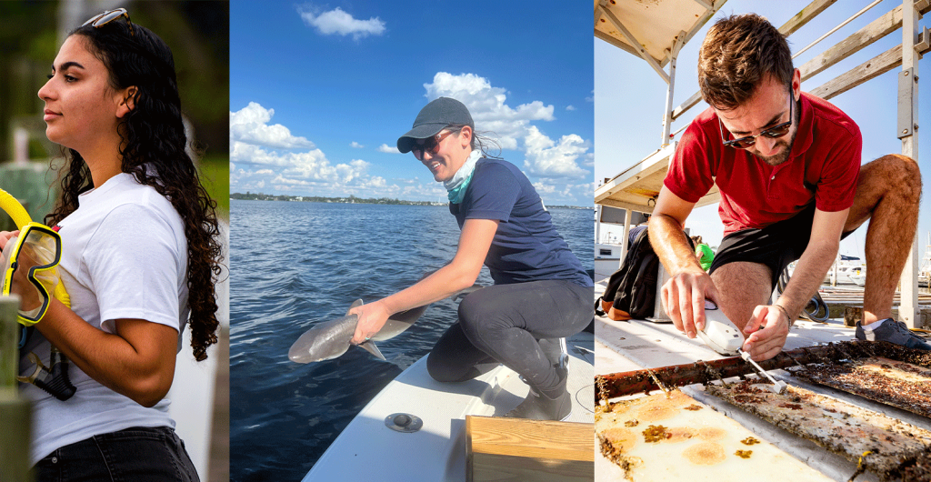 Marine Science Studies, Careers, Degrees, and Future Prospects ...