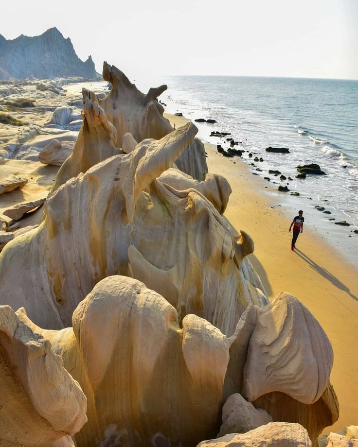 Exploring the Wonders of the Persian Gulf – Maritime Education